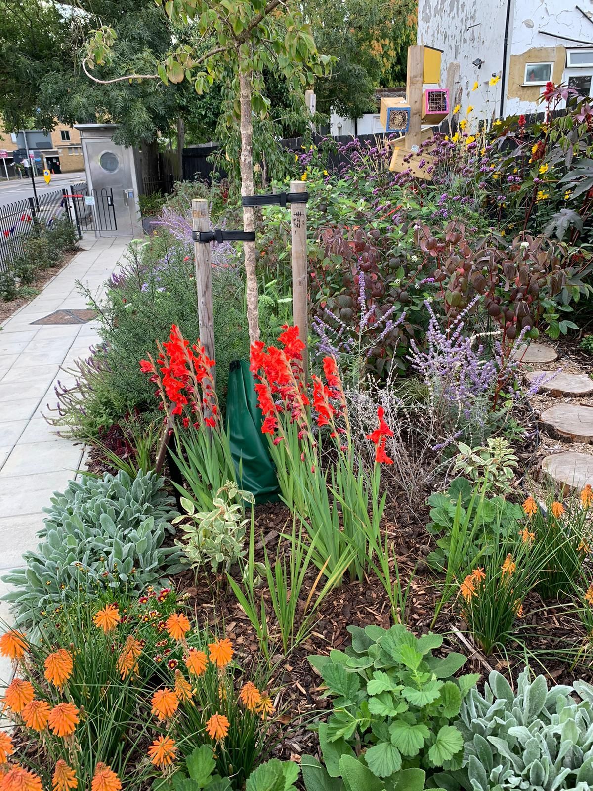 Maggie's Garden Norbury | Friends of Norbury Park