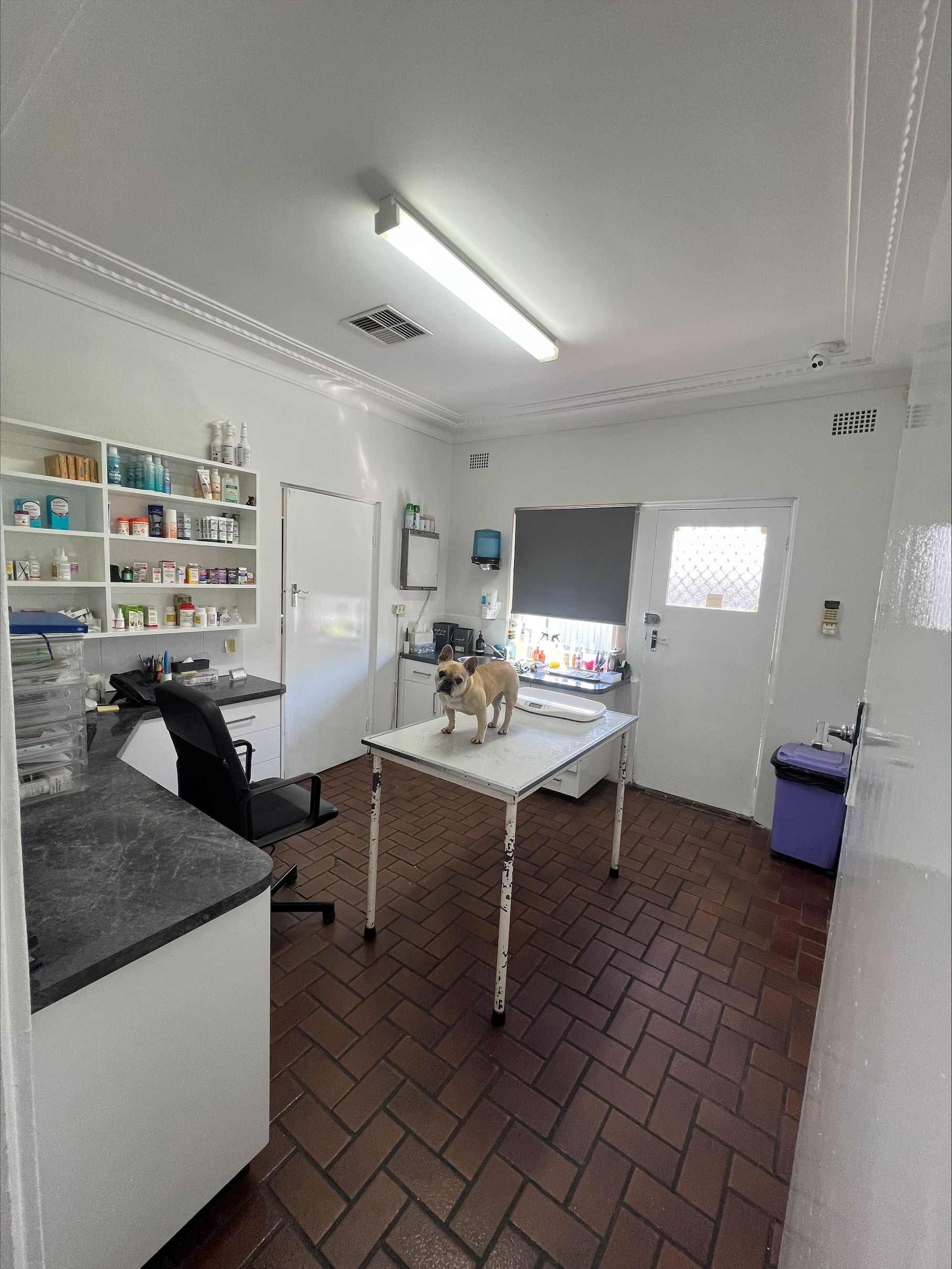 HOME [www.fairfieldvethospital.com.au]