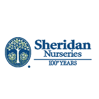 Ascend Partners | The Most Trusted Diamond OneStream Partner