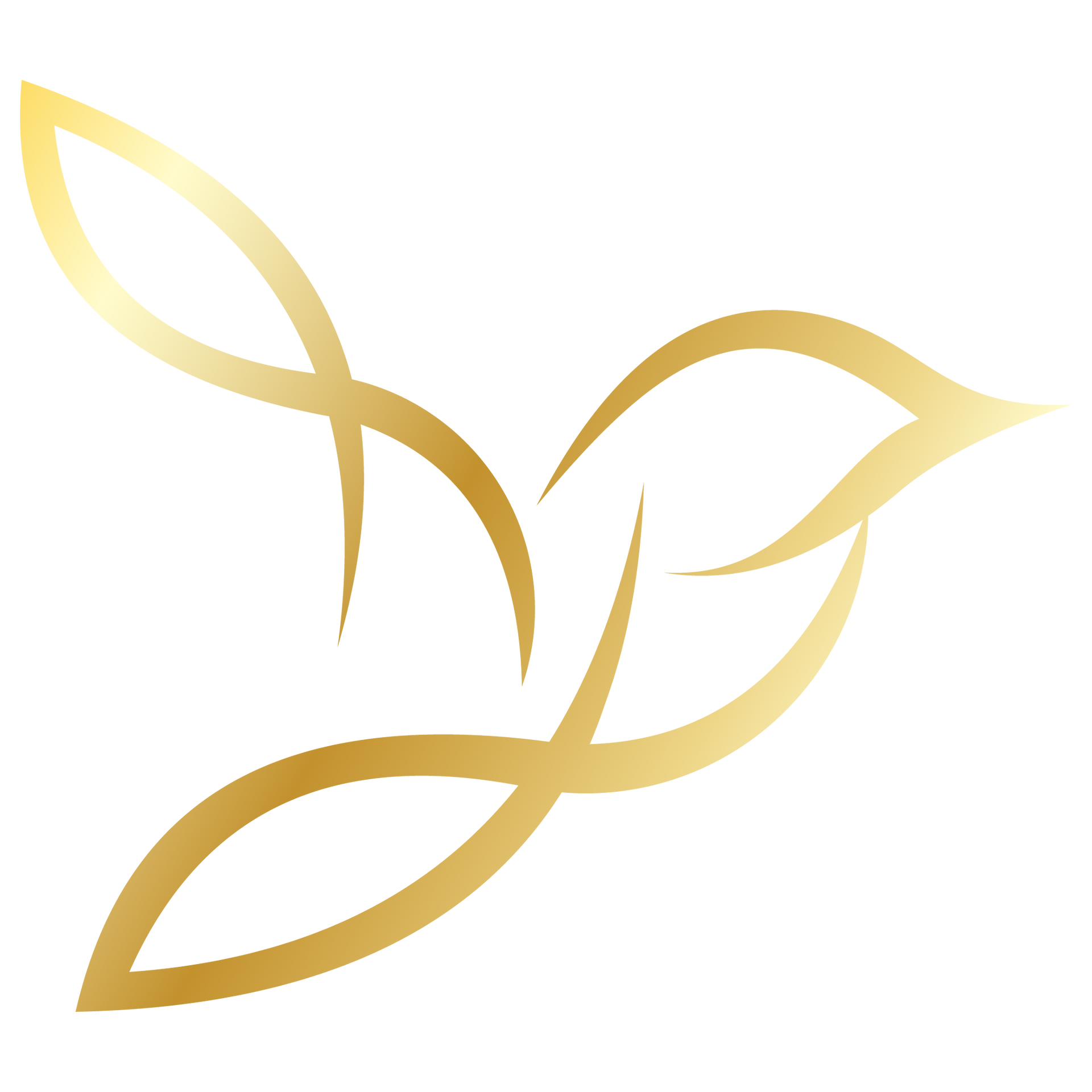 About Us | Avaz Property Management Team