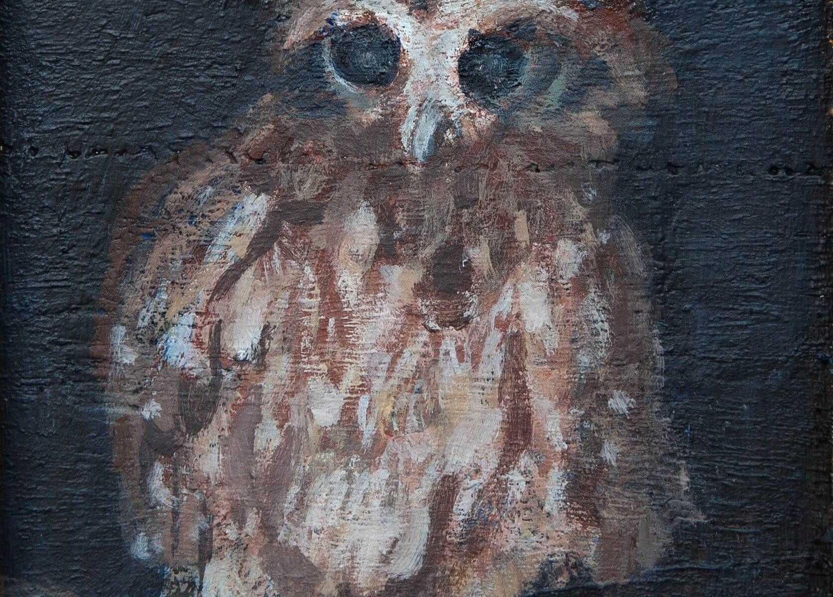 Owl Beliefs in Nyungar Culture