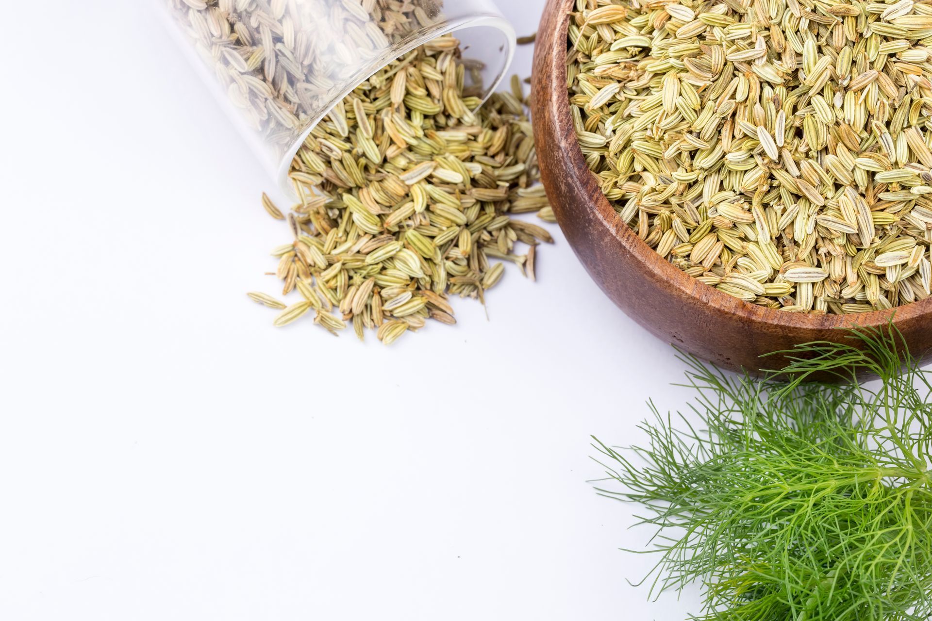 Graines de fenouil : bienfaits, utilisation en cuisine