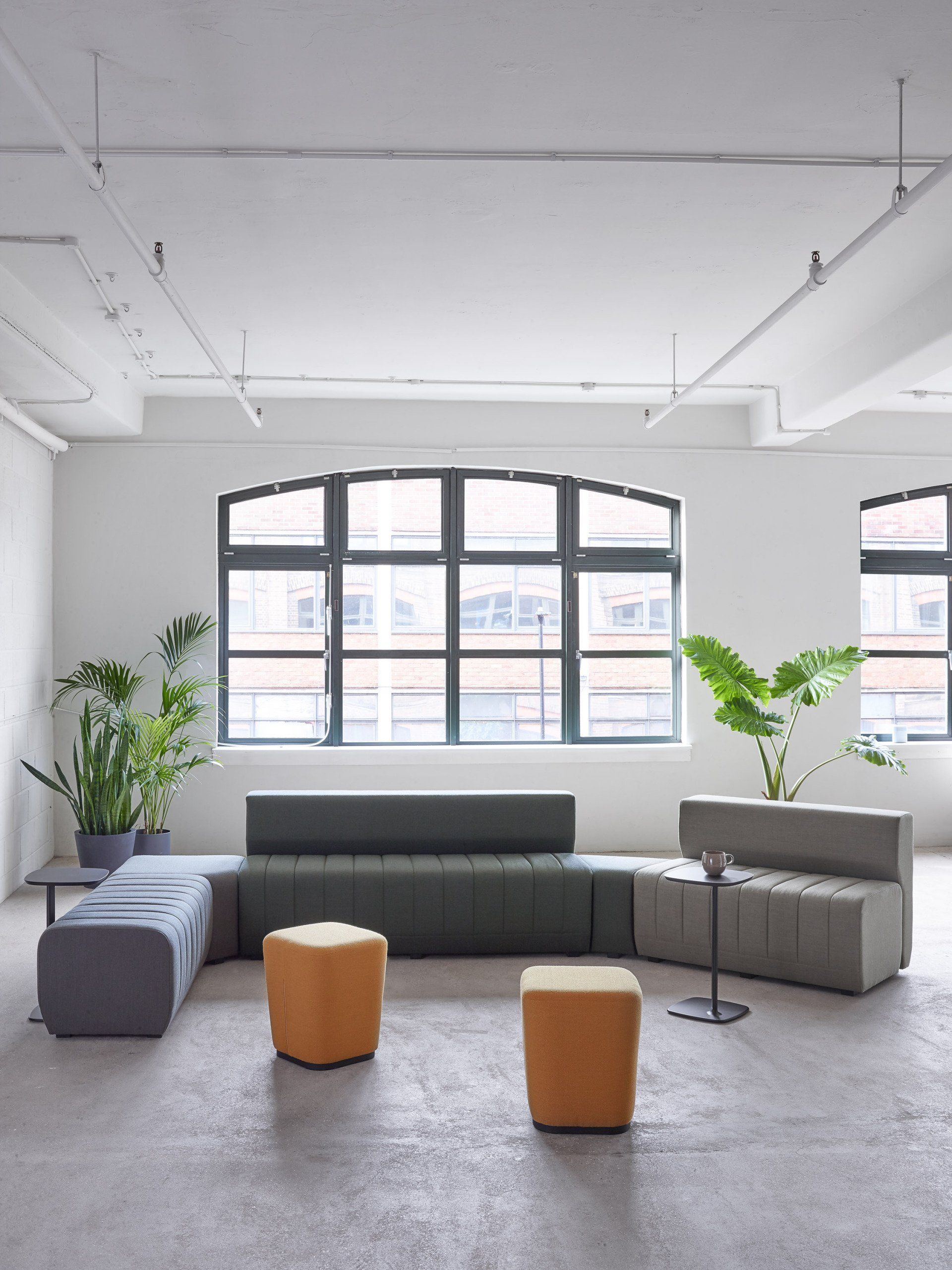 Collaborative + Lounge | Focus Workplace Furniture