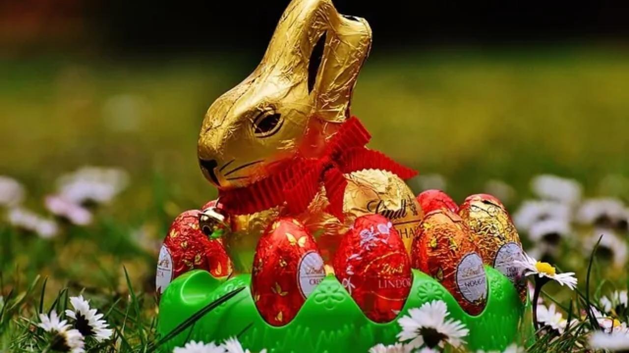 The Giant Chocolate Easter Bunny