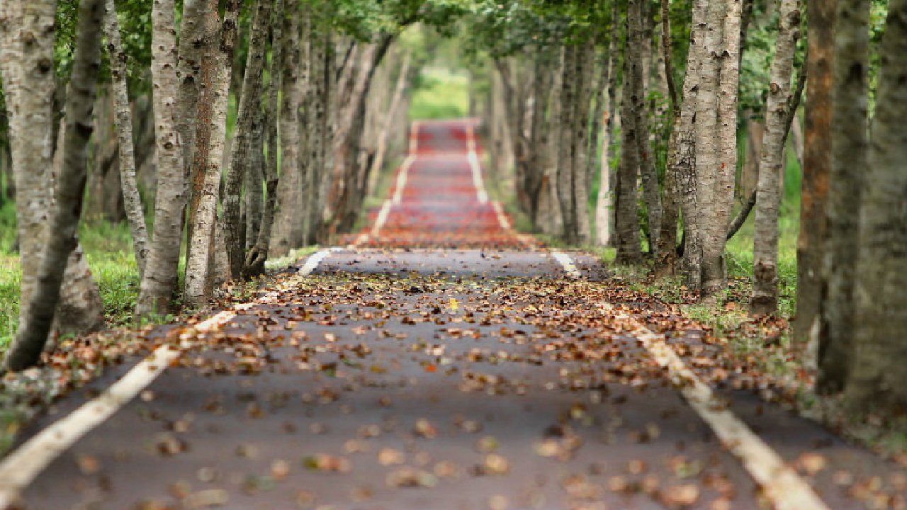 Moving Through the Bumps in the Road