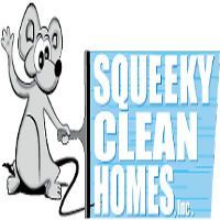 Window Washing & Cleaning | Squeeky Clean Homes Inc