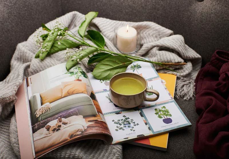 Tea Drop - Tác Dụng Của Các Loại Trà