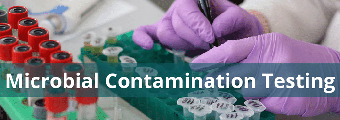 Top Microbial Contamination Testing Methods