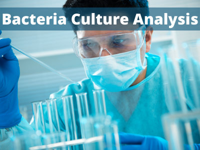 Breaking Down Bacteria Culture Analysis