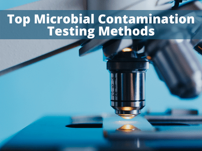 Top Microbial Contamination Testing Methods