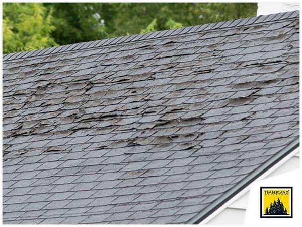 Asphalt Shingle Cracking VS. Splitting