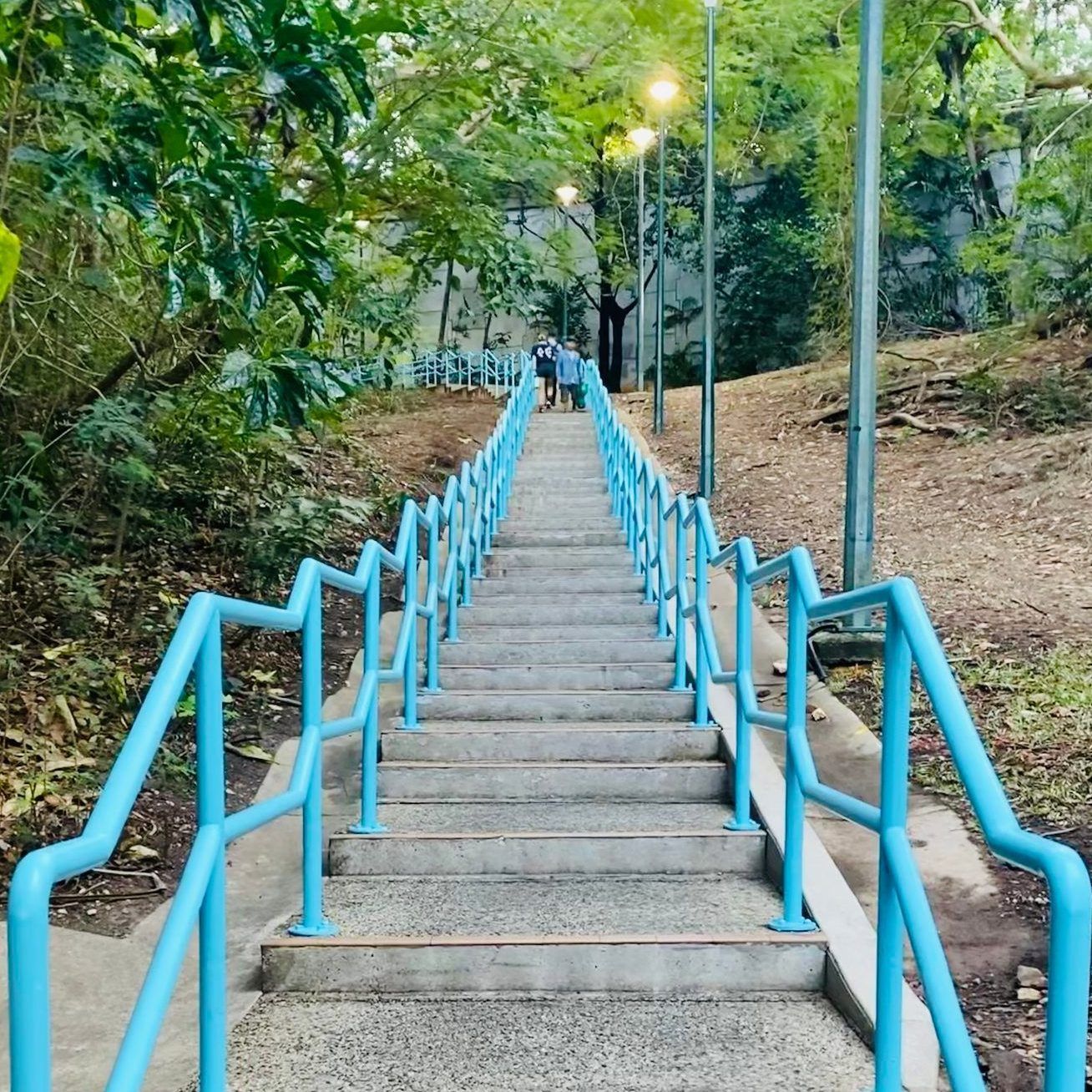 Public Notice - Tree Works