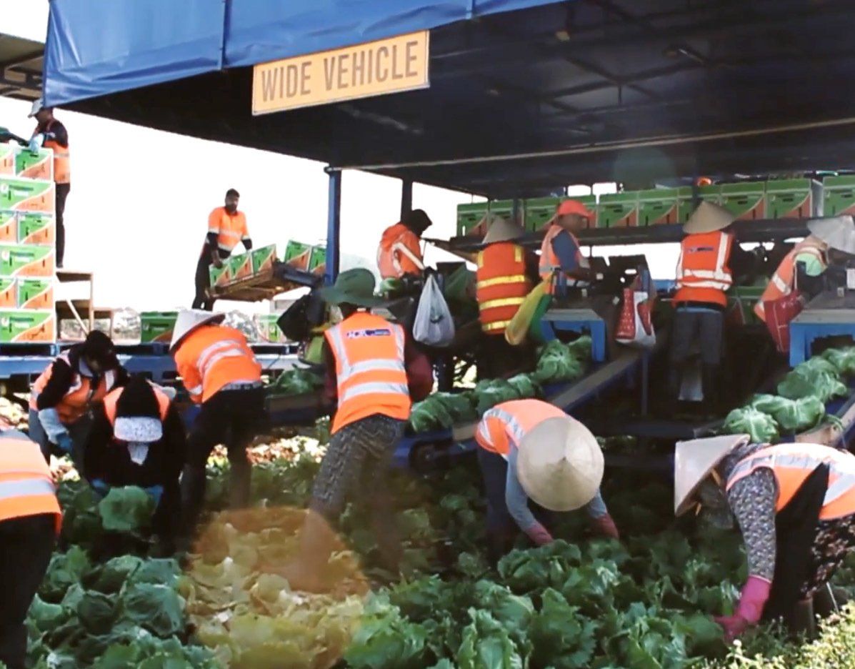 Welcome to Fragapane Farms