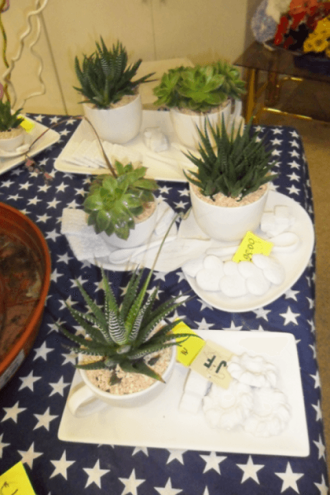 Fiorista - Rufina - Firenze - Laura Righi Fiori e Piante