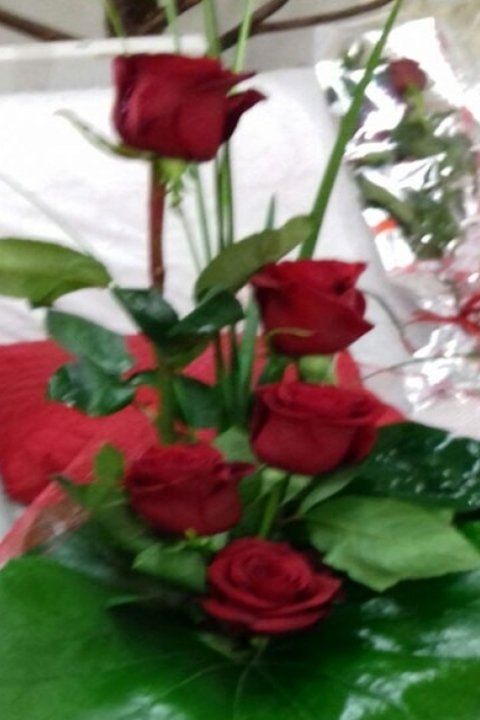 Fiorista - Rufina - Firenze - Laura Righi Fiori e Piante