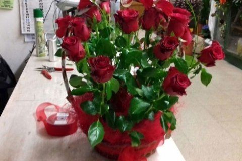 Fiorista - Rufina - Firenze - Laura Righi Fiori e Piante