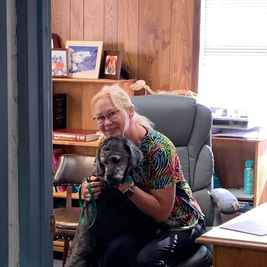 Pet exams | Taylorsville, UT | Salt Lake Veterinary Services