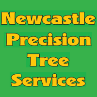 Newcastle Precision Tree Services | Domestic & Commercial