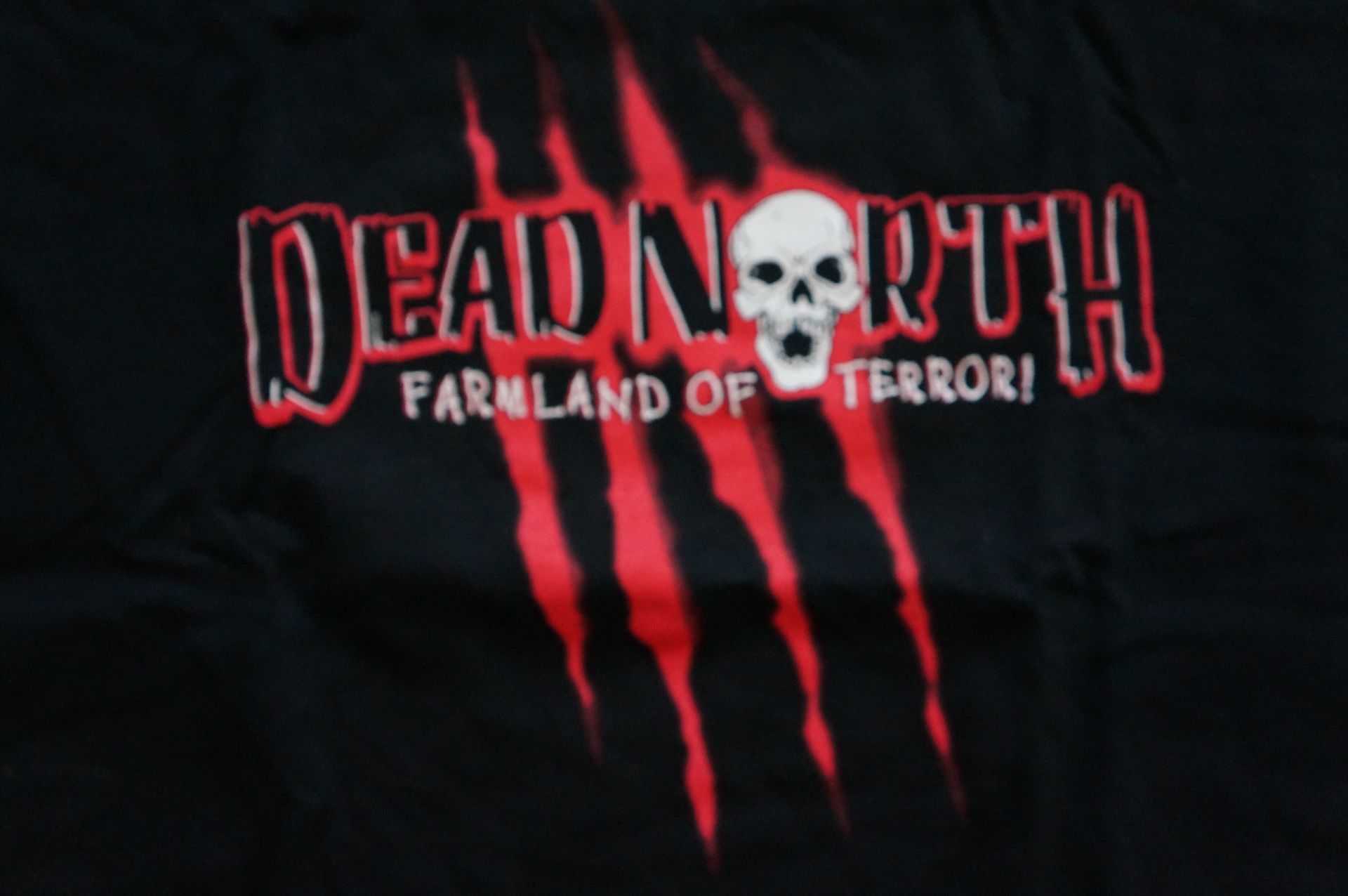 DEAD NORTH