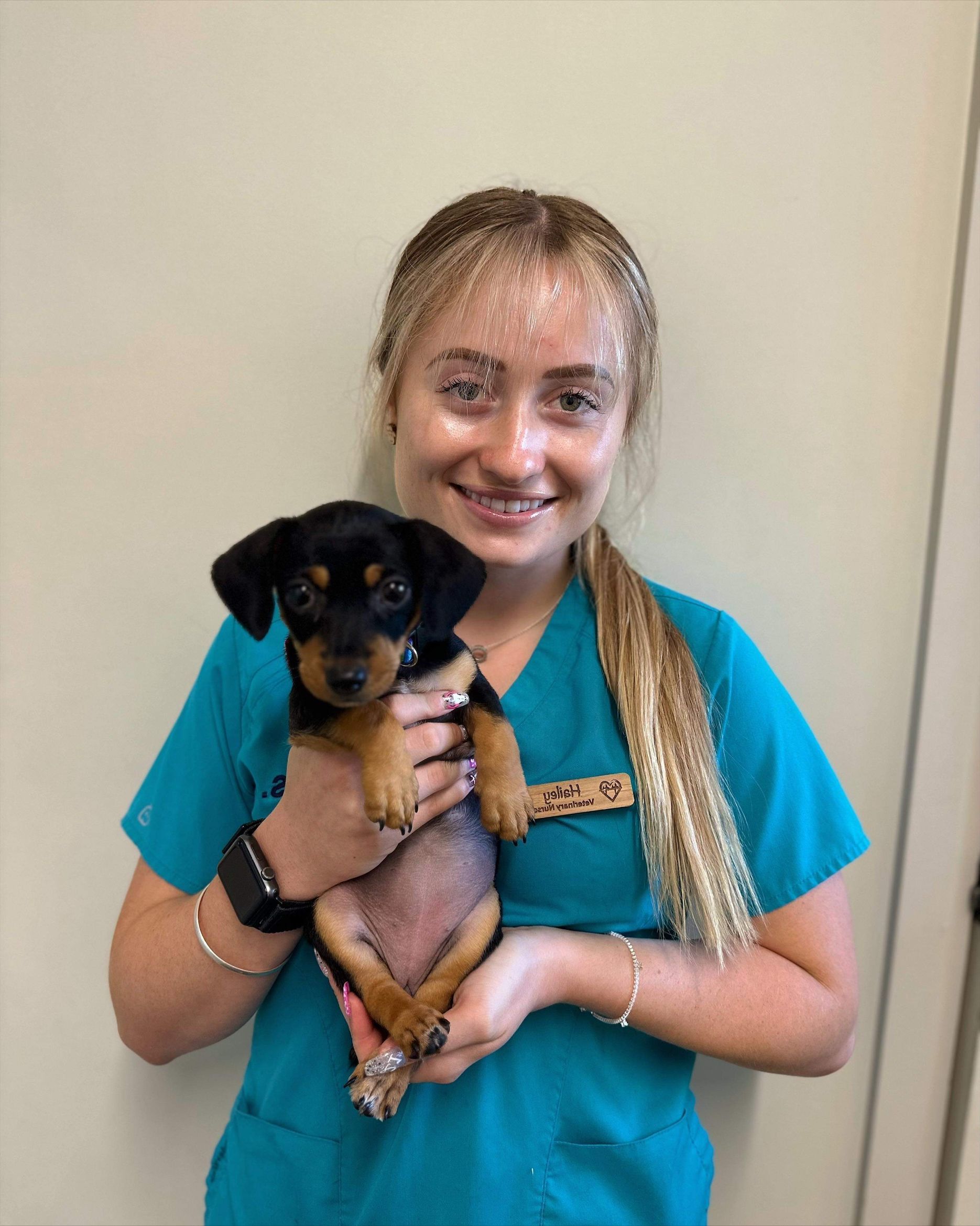 About Us | Macleay Valley Veterinary Services