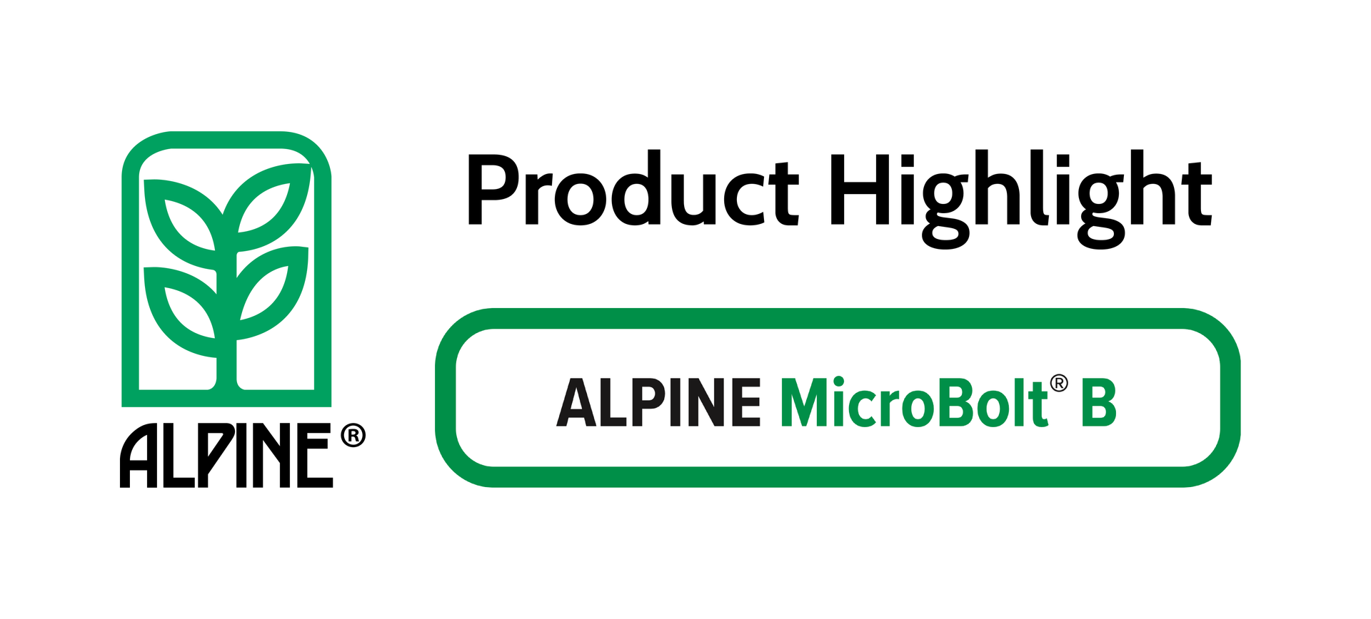 ALPINE MicroBolt® B