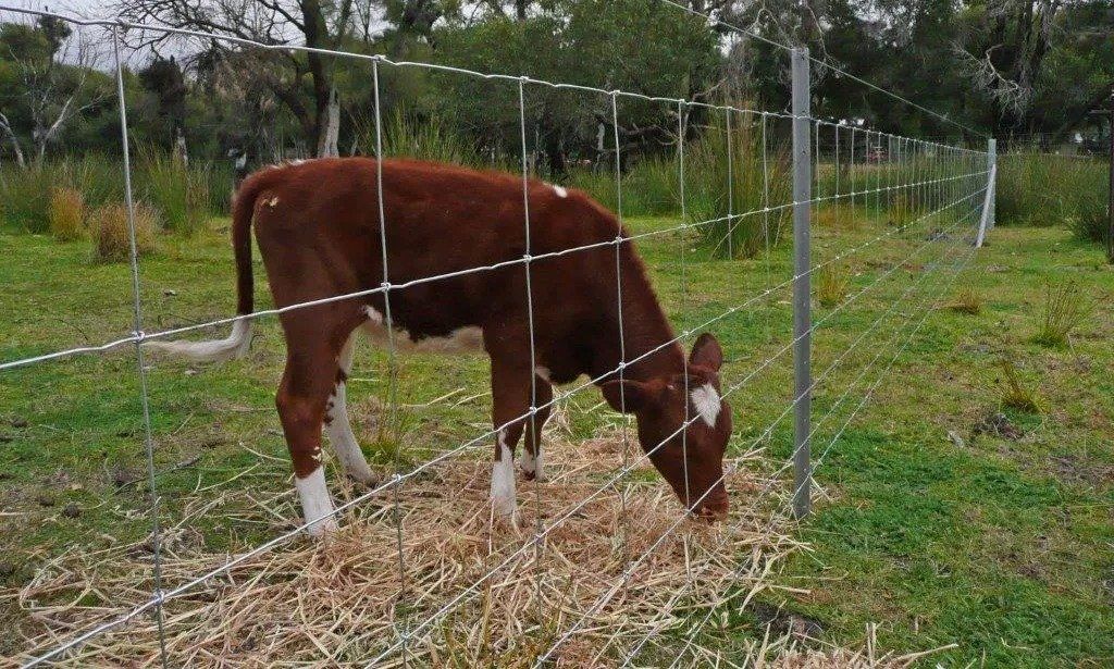 Australian Farm & Fencing