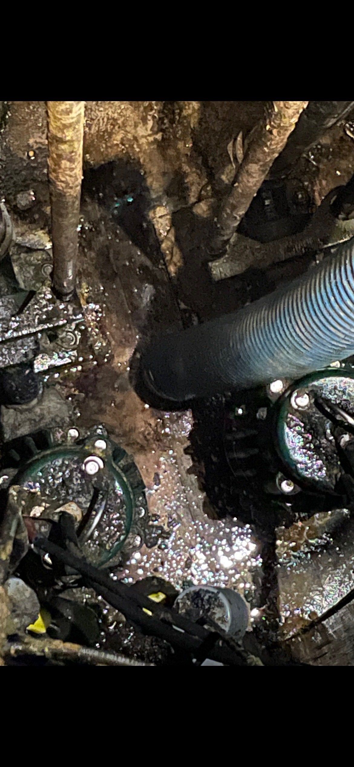 County Cesspool Service - Suffolk's Finest - Long Island, NY