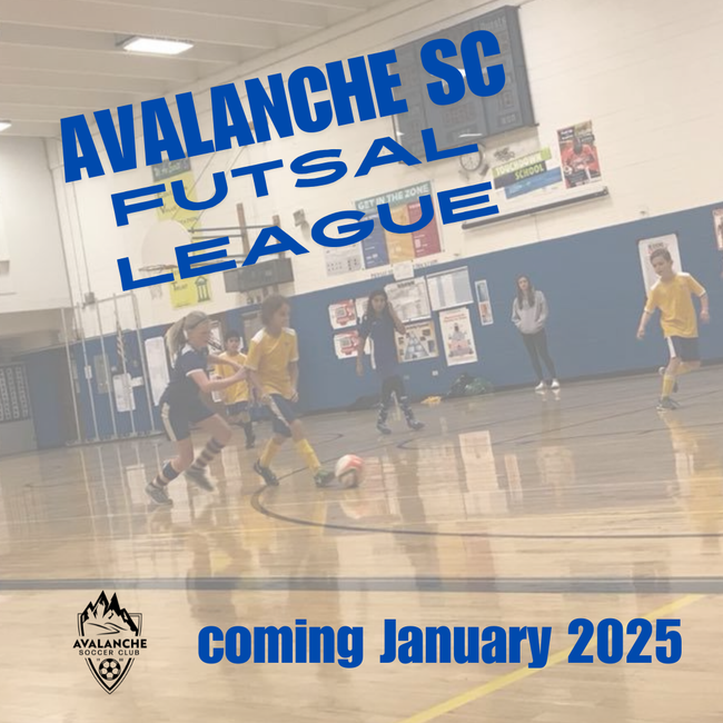 Avalanche Soccer Club