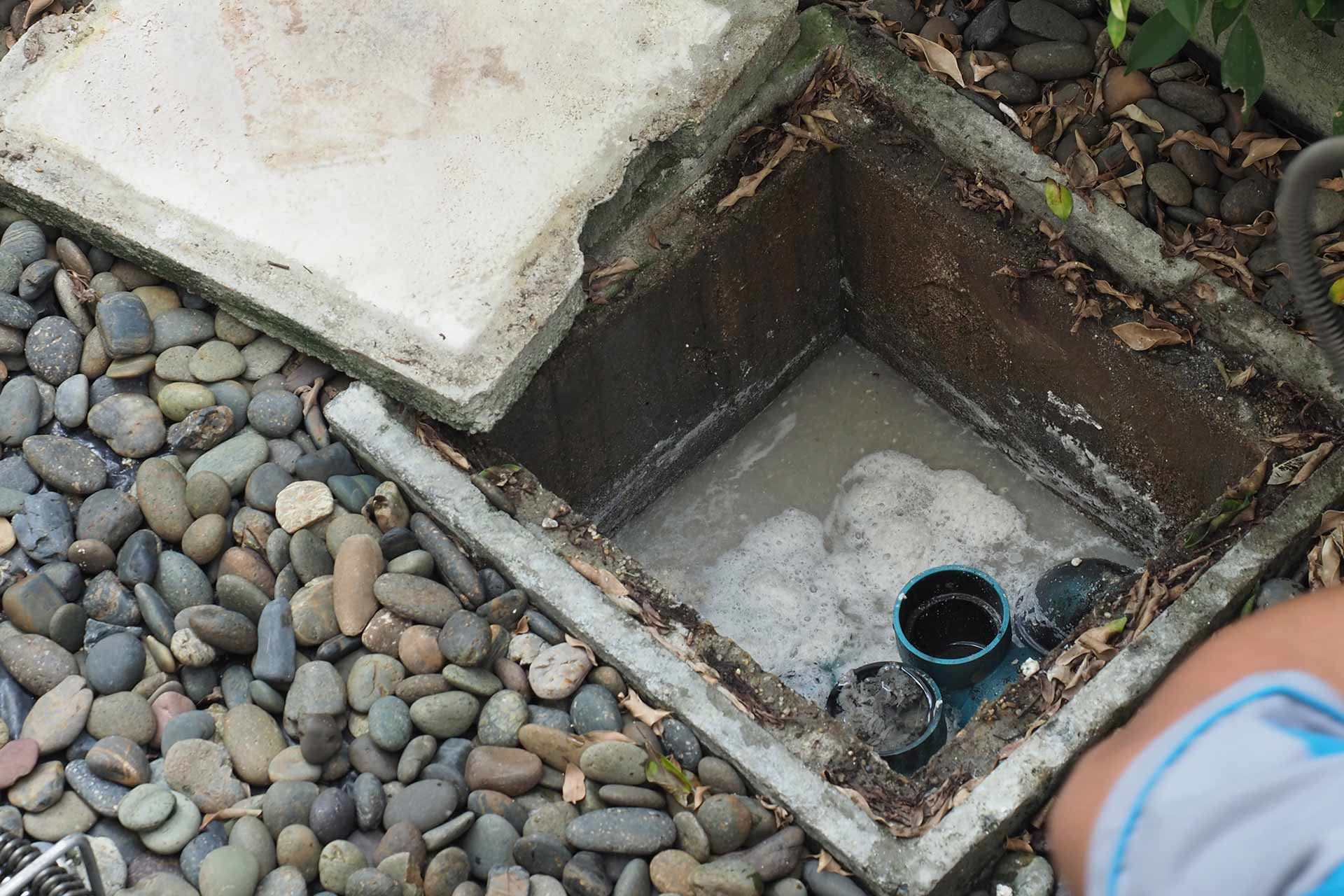Tips for Maintaining a Healthy Drainage System