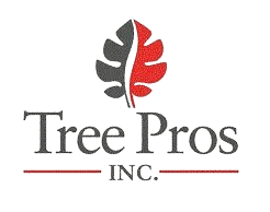 Tree Pros Inc. - Top Rated Tree Service - Chino, California