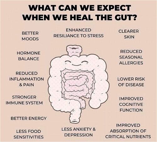 Gut Health Test & Check | Gut Microbiome Check | Whitby