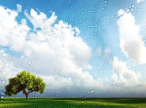 Seeing spots lately? Could be “Floaters”