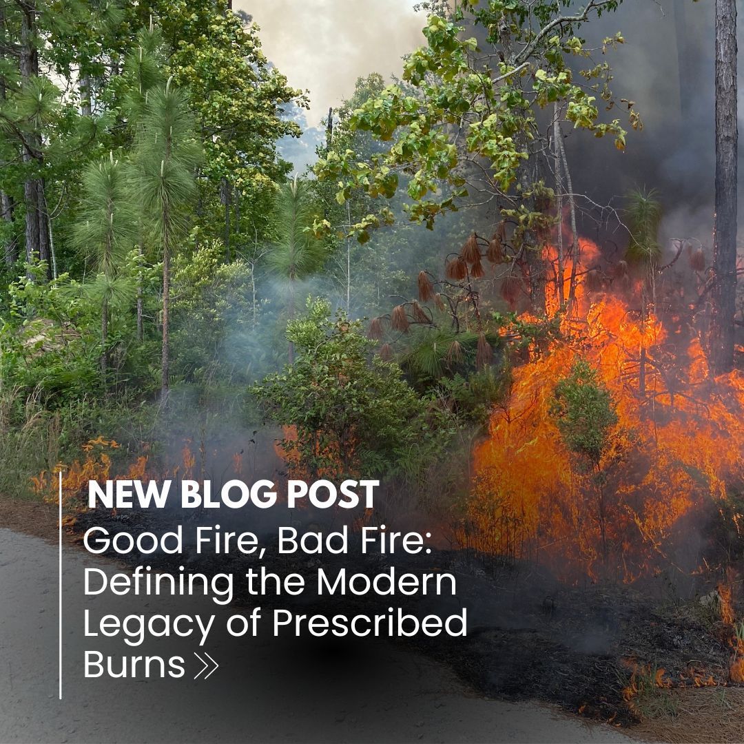 Good Fire, Bad Fire
