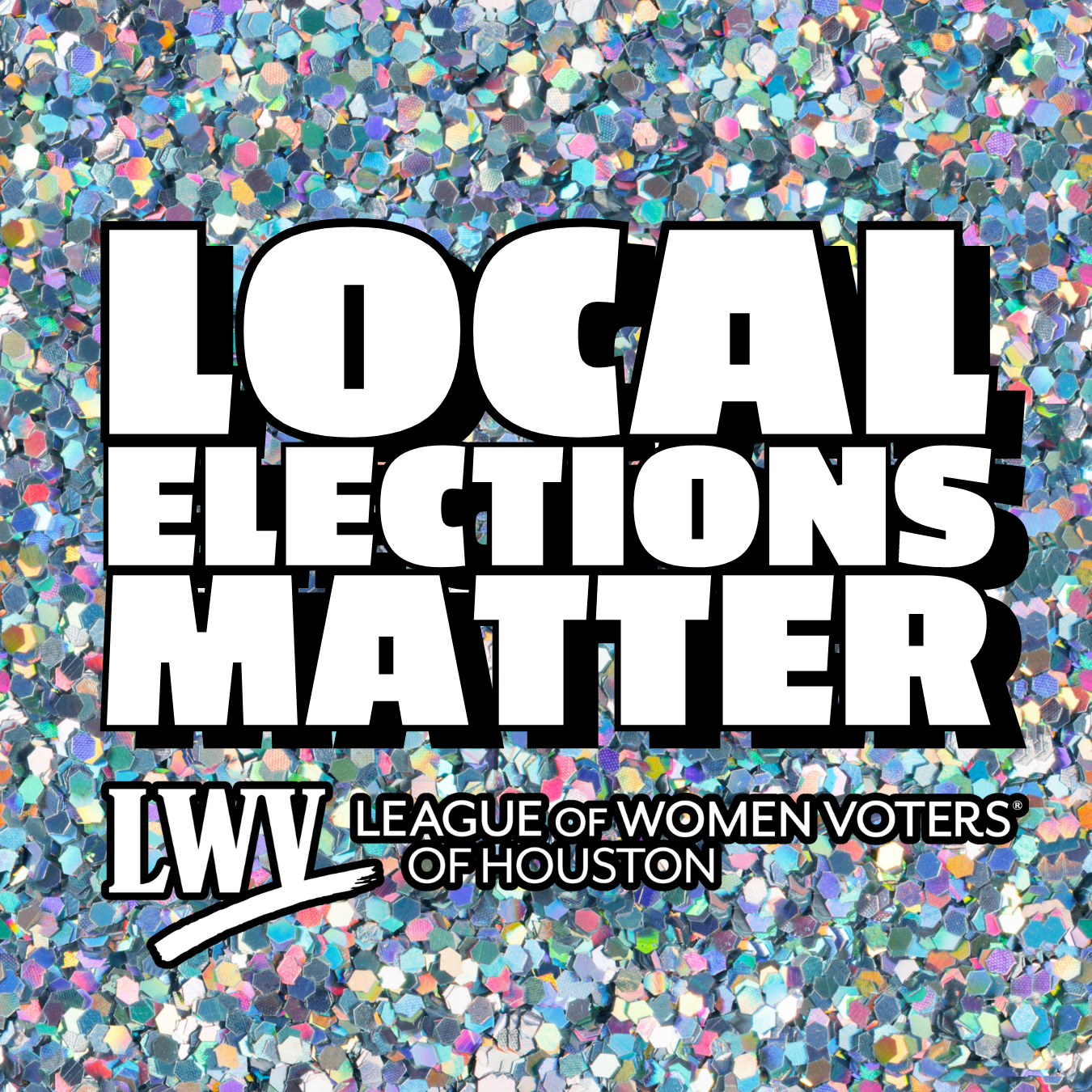 Voting Guide for College Students | League of Women Voters of Houston ...