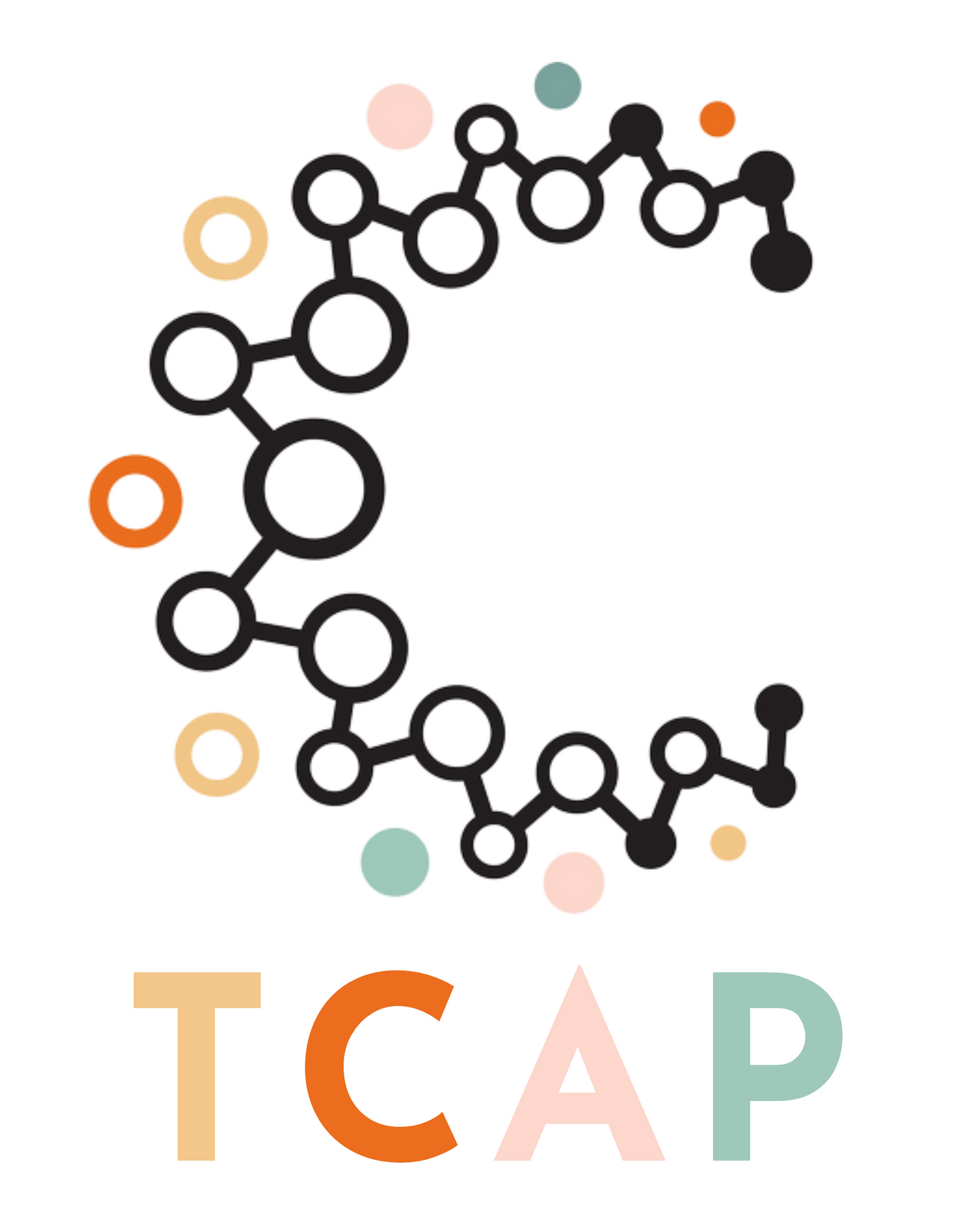 The Connection Architect Program Welcome