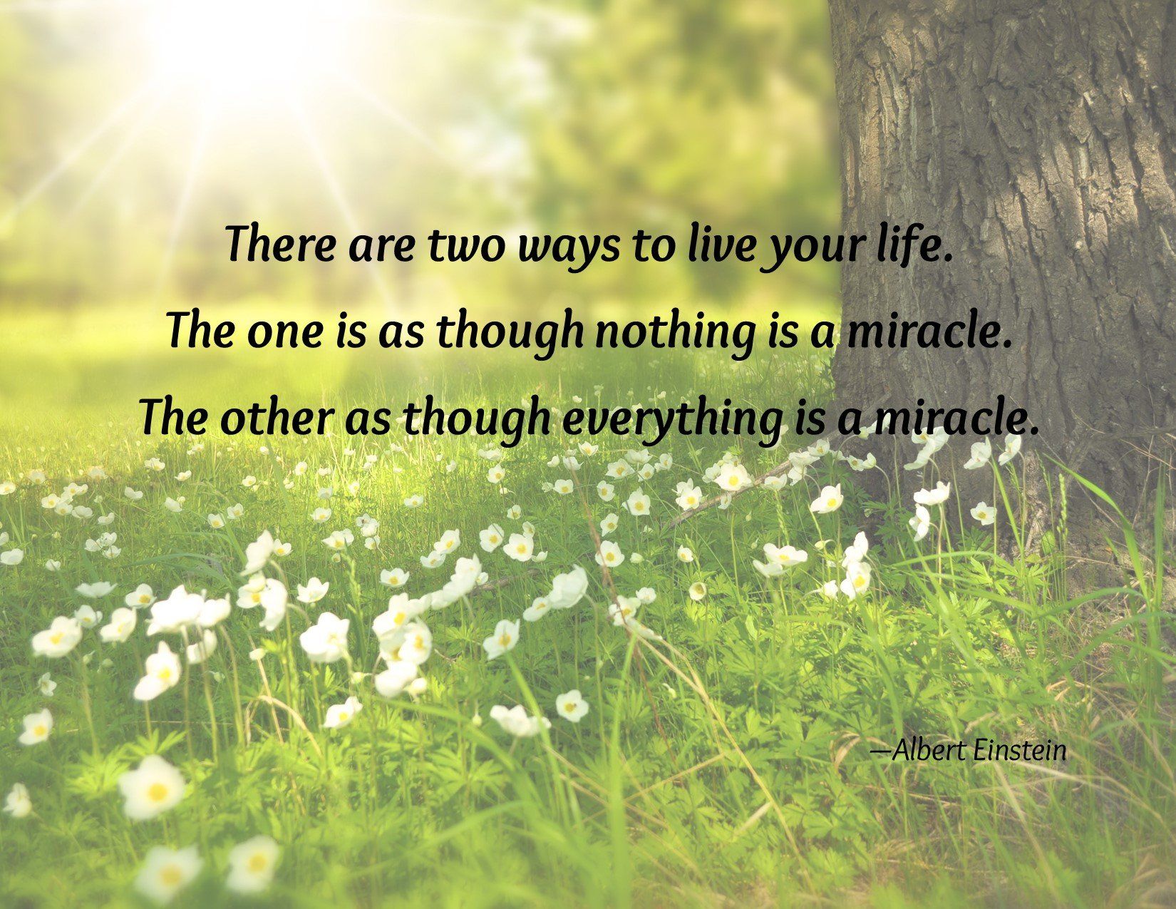 Life is a miracle...