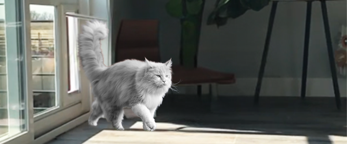 Cat Door for Window and Sliding Glass | Valley Pet Door