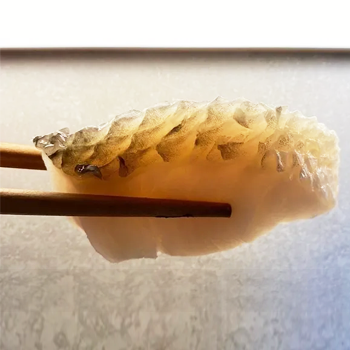 Snakehead Fish Toman Slice