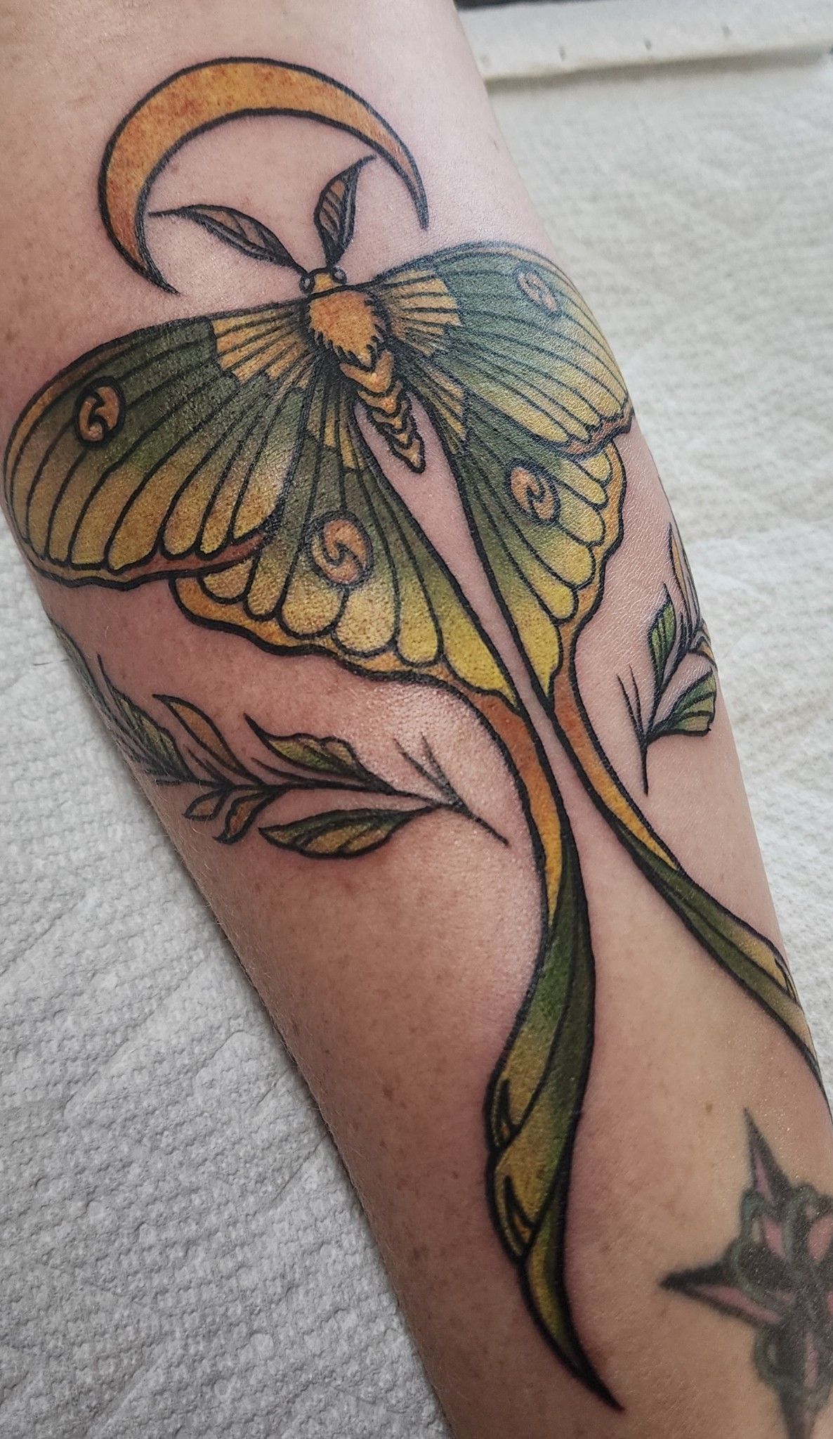 Moe - Tattoo Artist | Beavercreek, OH | Roc Art Tattoo