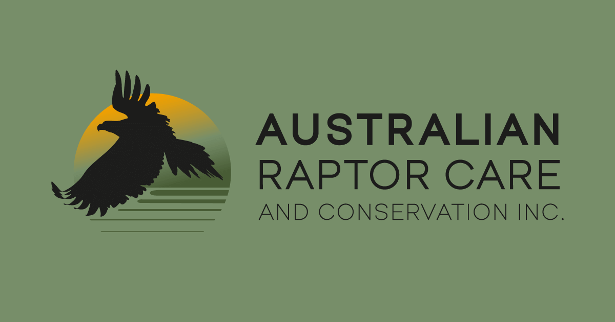 Australian Raptor Species Identification - ARCC Inc.