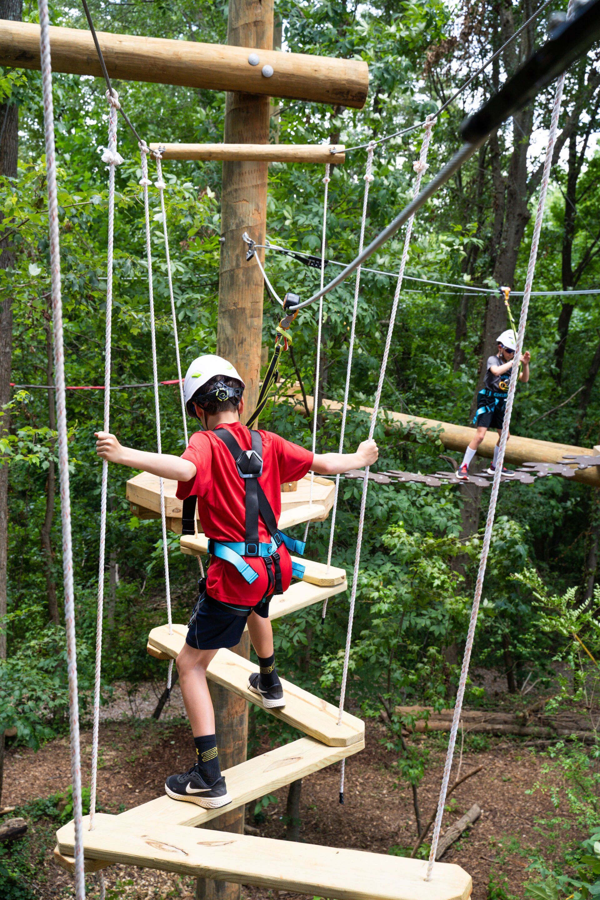Flying Rabbit Adventures | Aerial Adventure Park | Book Now!