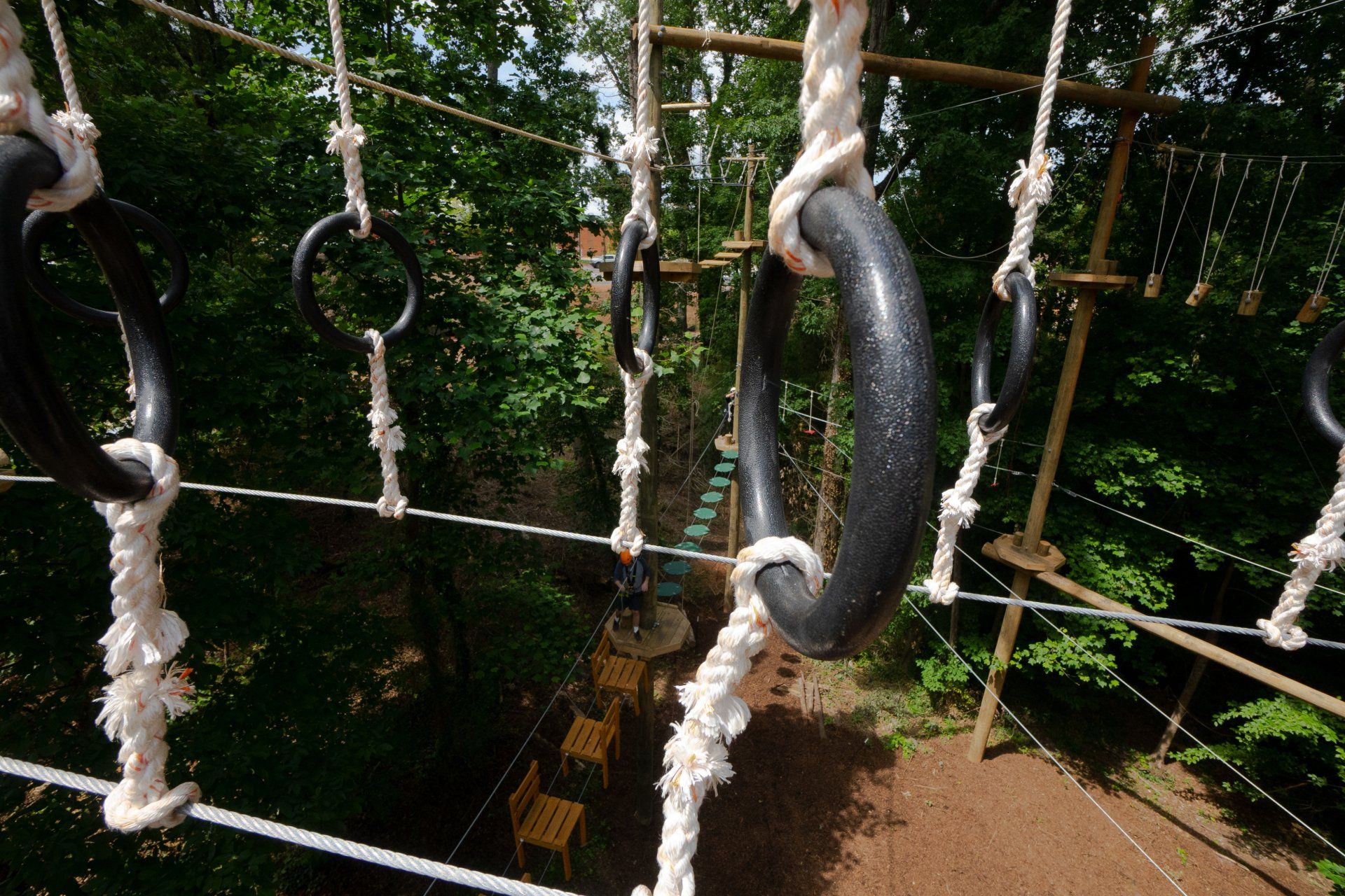 Flying Rabbit Adventures | Aerial Adventure Park | Book Now!