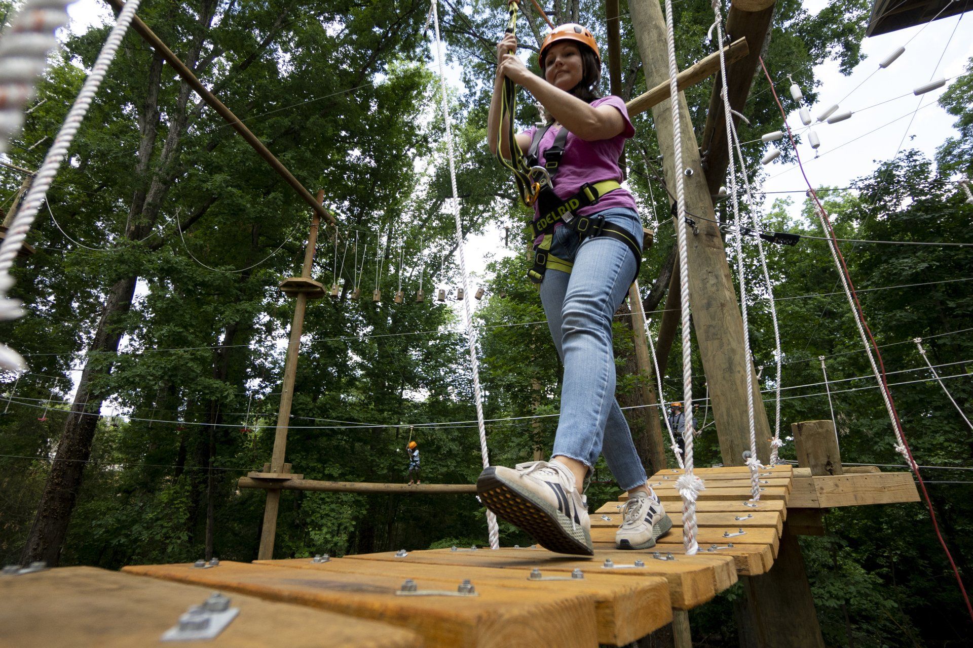 Flying Rabbit Adventures | Aerial Adventure Park | Book Now!