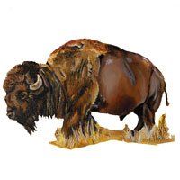 The Roaming Buffalo | Local Artist in Buffalo, NY