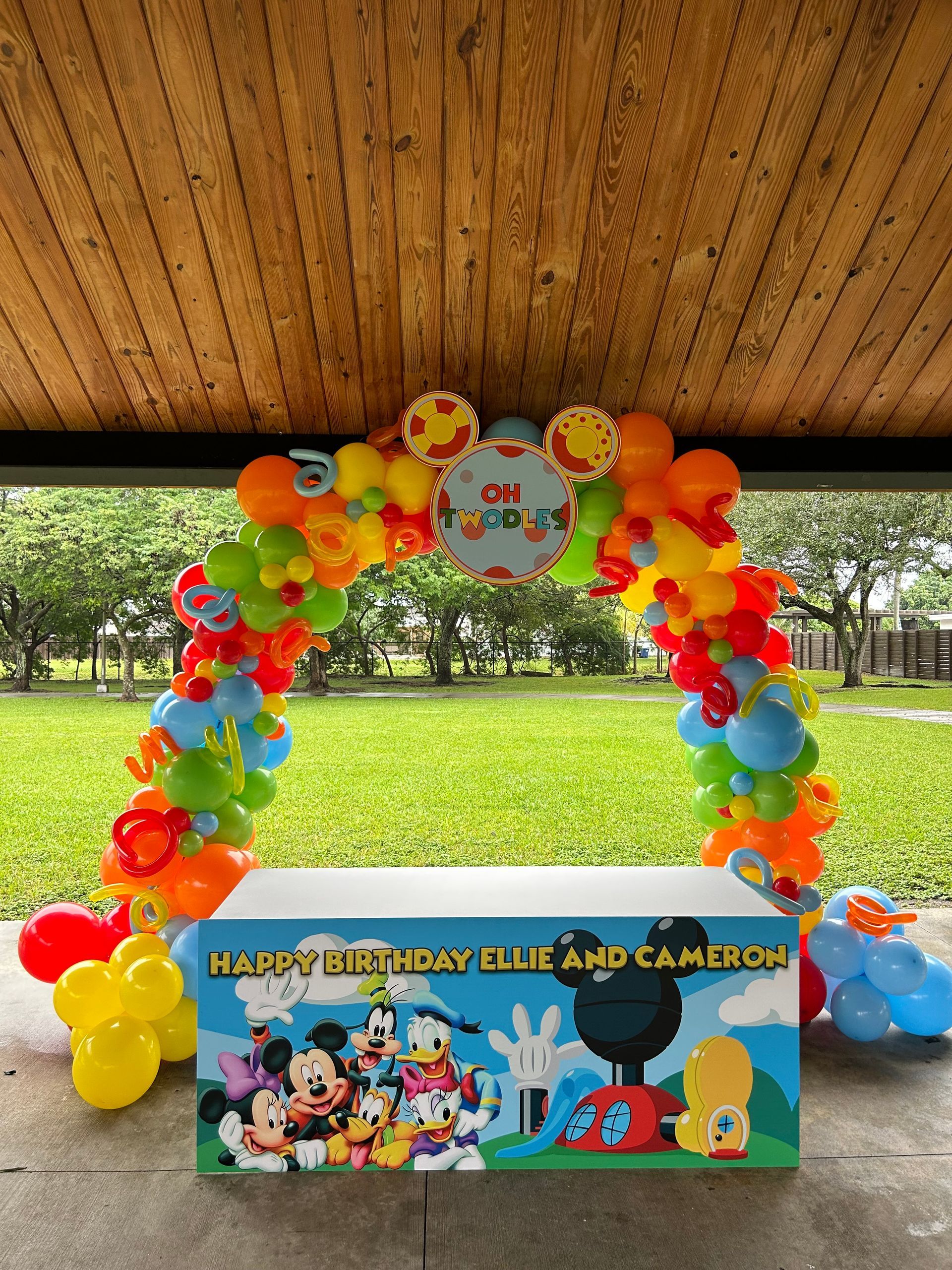Balloon Arches | Balloon Element | Miami, FL