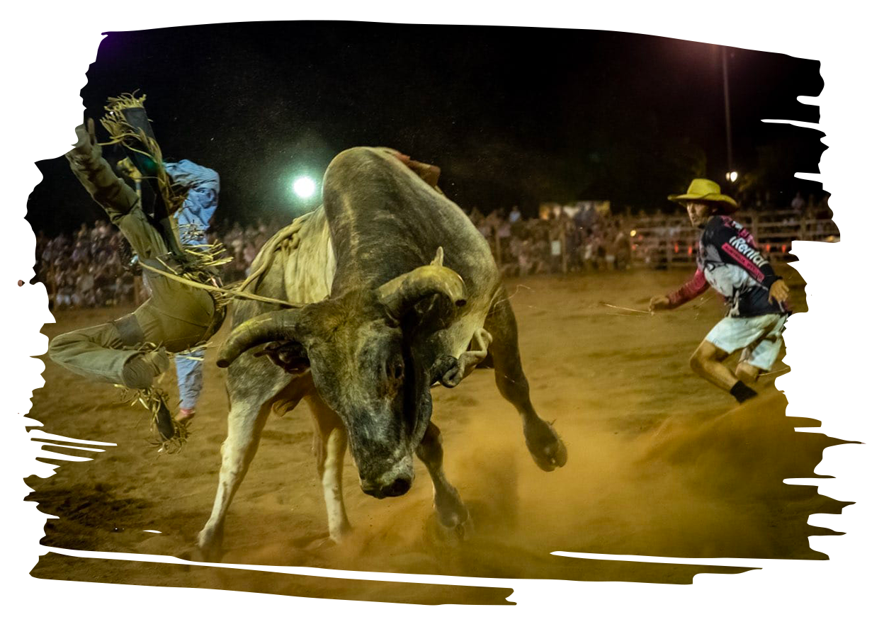 Rodeo Promotions NT