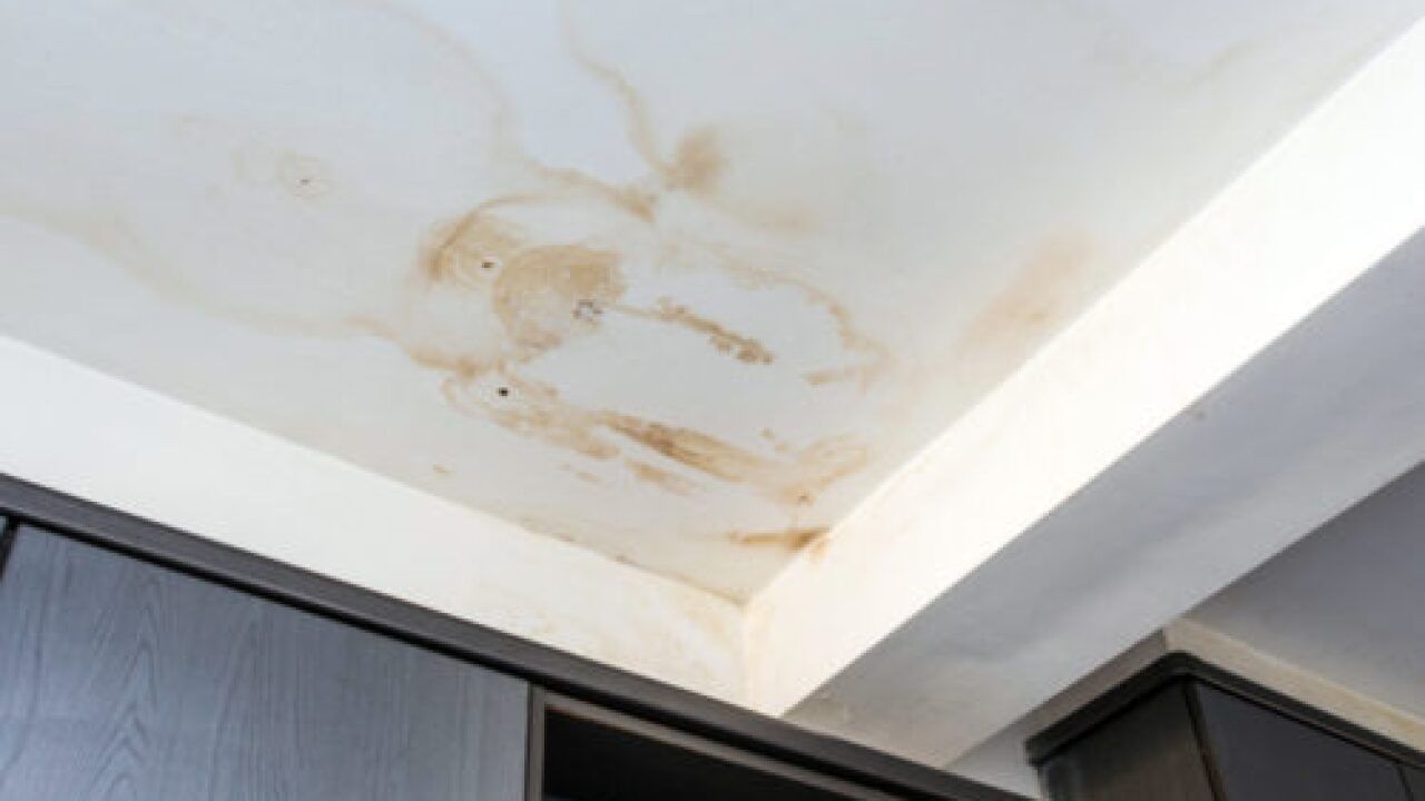New or Old Water Damage