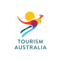 Advvy – Media Planning & Project Management