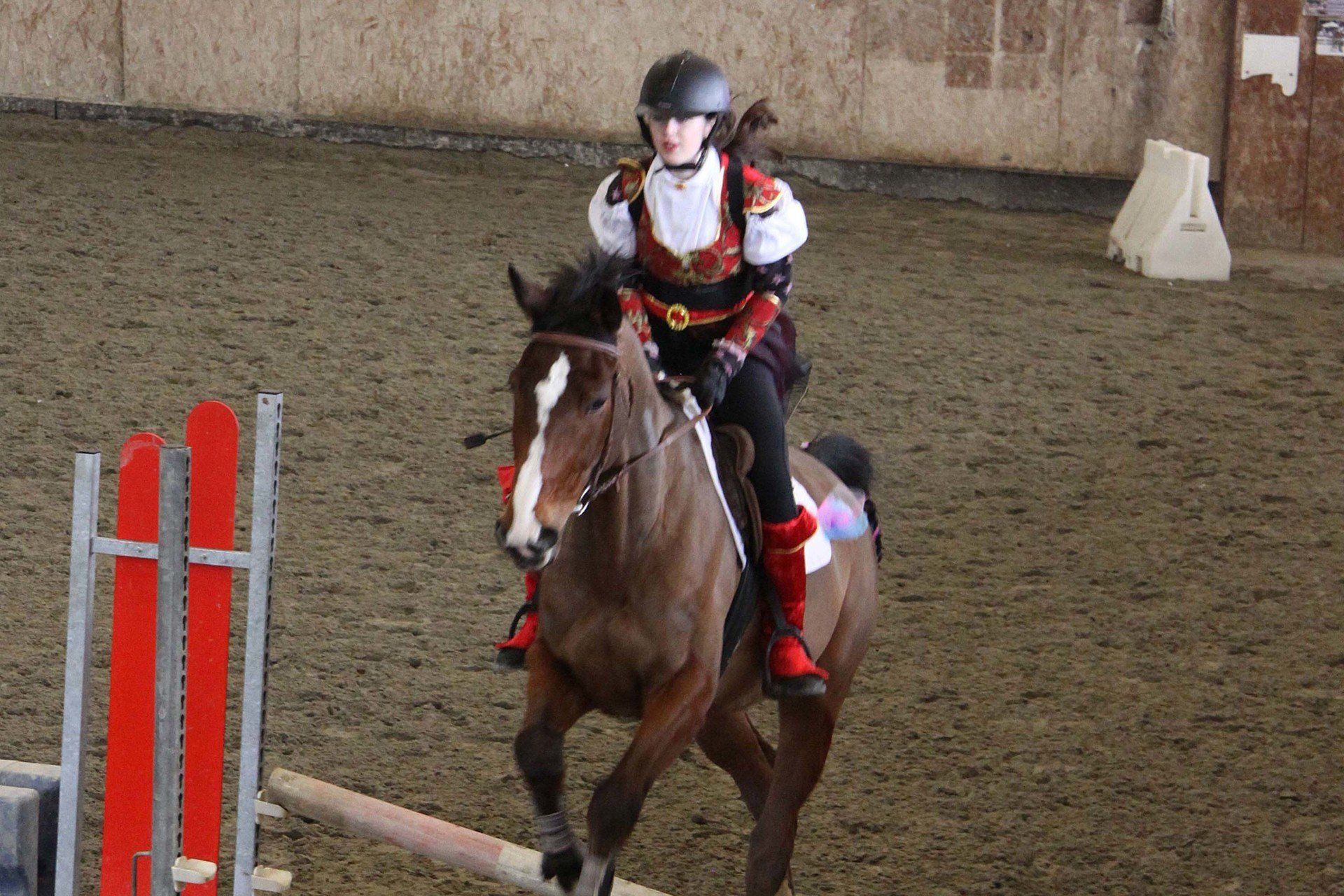 Maneggio | Ravenna | Equiland Horses Club