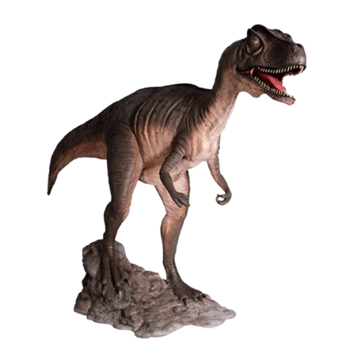 Life Size Models | Home